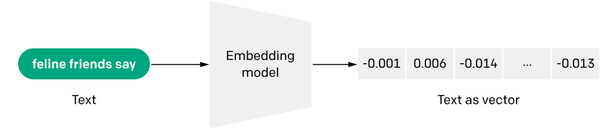 Understanding and Comparing Embedding Models for RAG and Vector Search